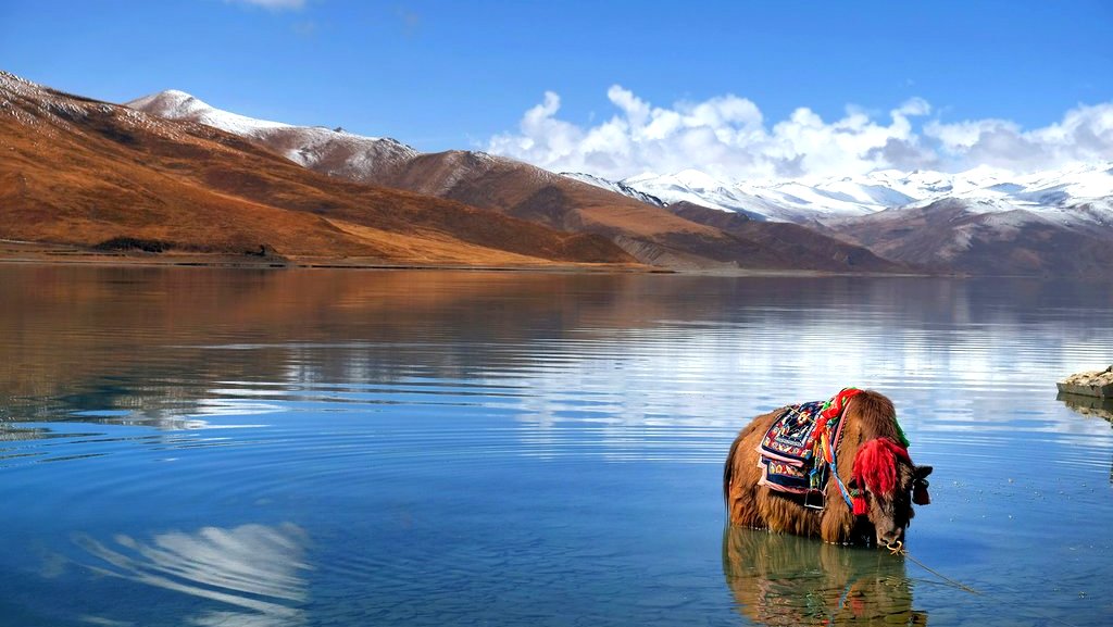 Exploring Lhasa: A Cultural and Historical Guide