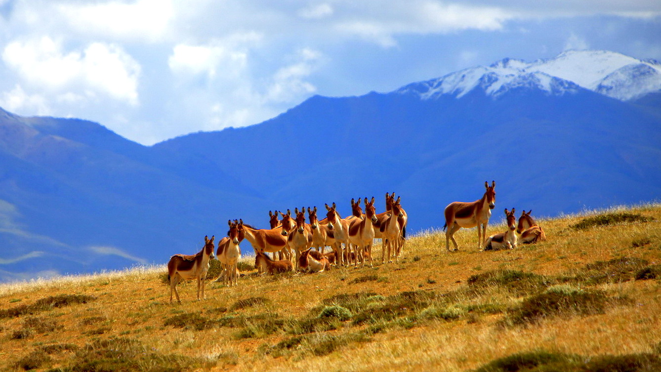 Adventure Activities in Tibet