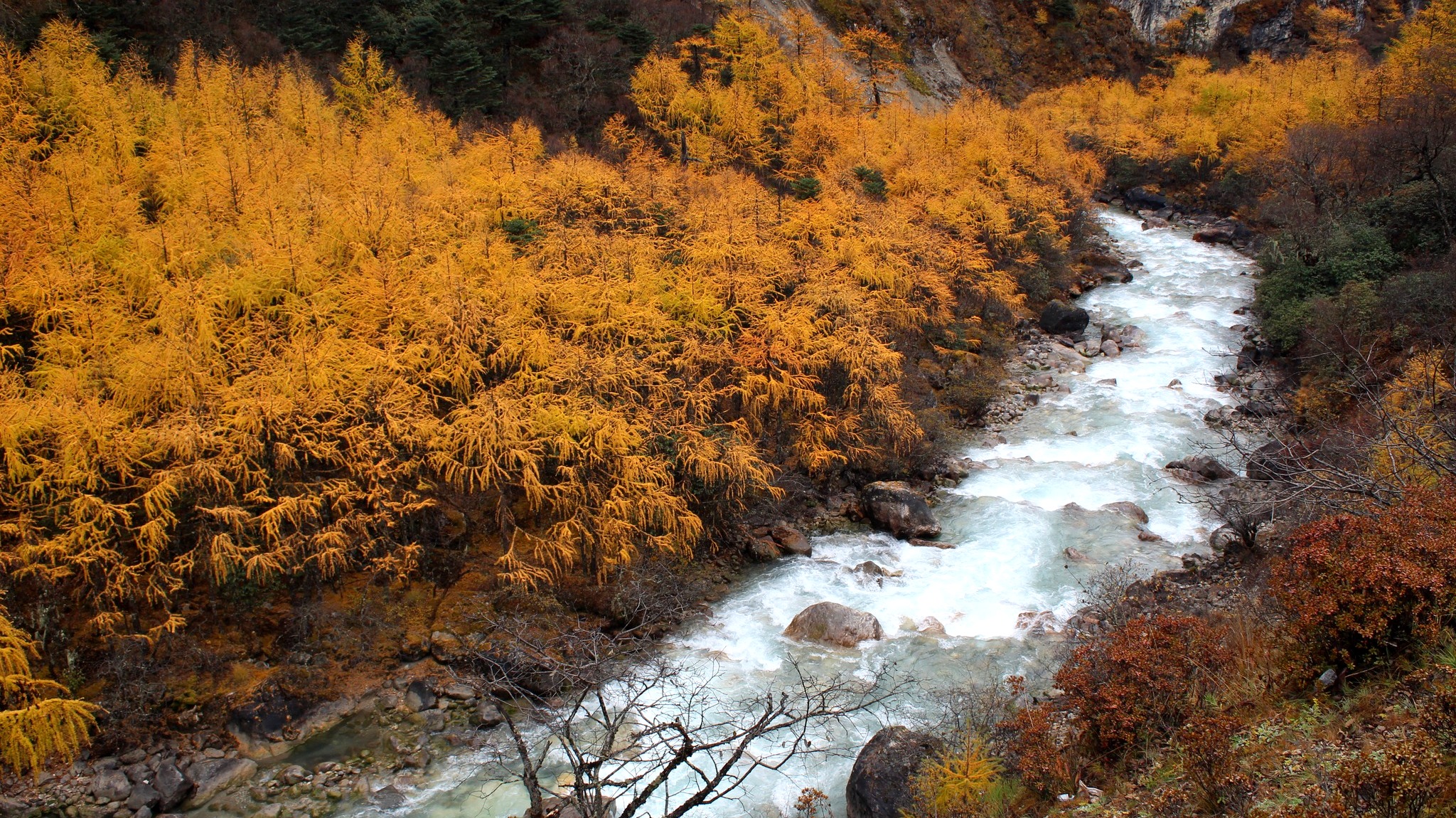 Best Time to Visit Bhutan: Seasonal Insights for Travelers