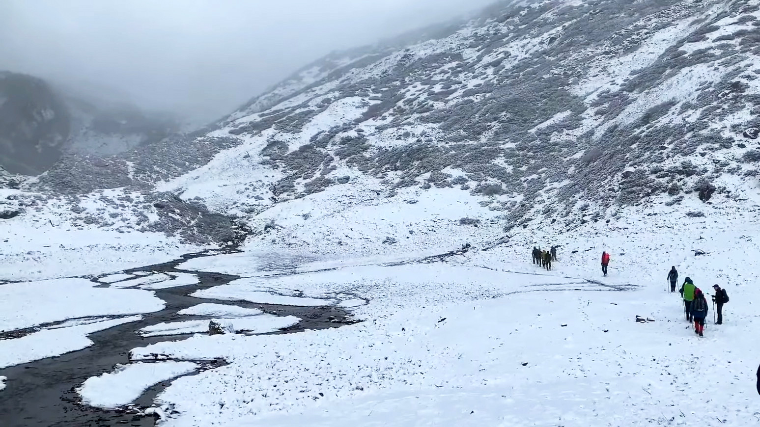 Best Time to Visit Bhutan: Seasonal Insights for Travelers