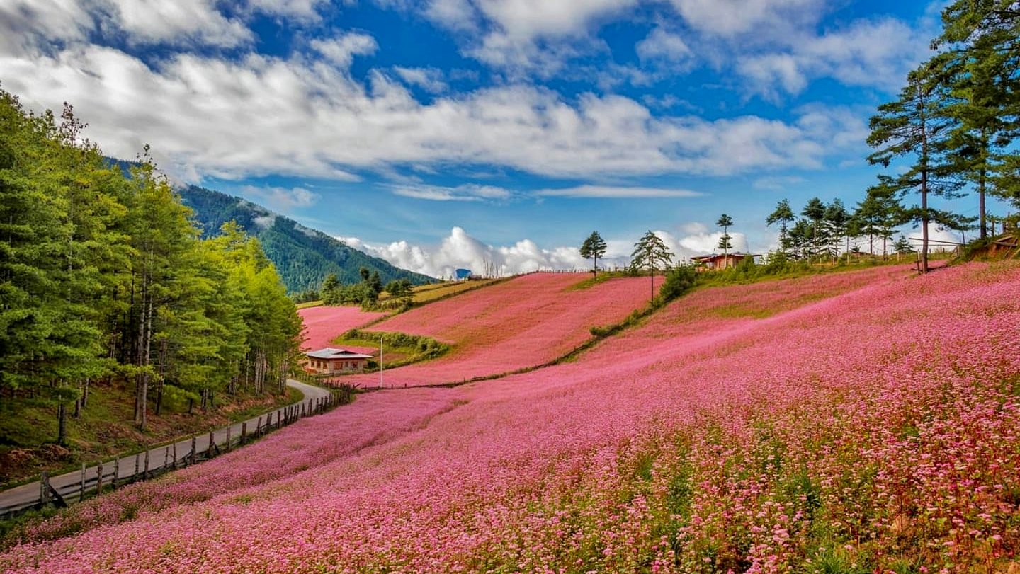 Best Time to Visit Bhutan: Seasonal Insights for Travelers