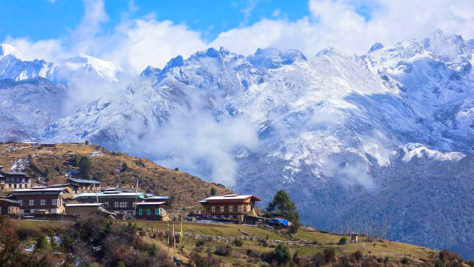 Explore the Laya Gasa Trek: Bhutan's Ultimate High-Altitude Adventure