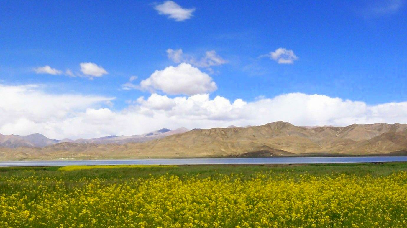 Detailed Guide to the Four Seasons in Tibet: What to Expect When